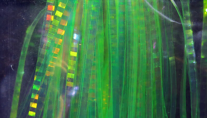 Lateral Scale – Urban Angler