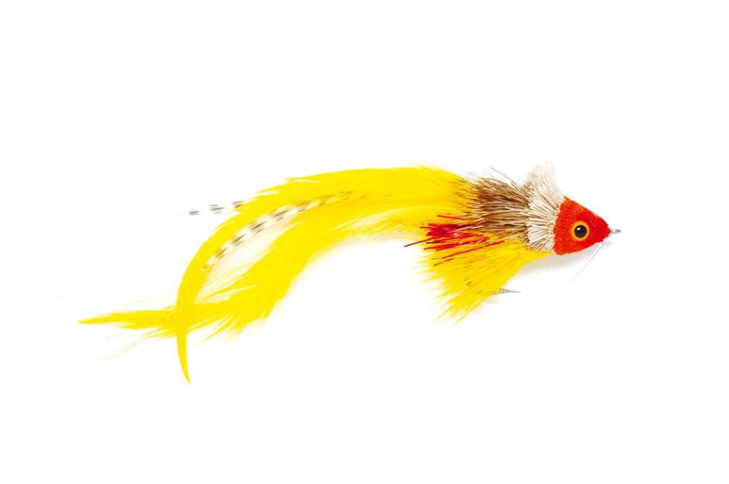 Swimming Diver – Urban Angler