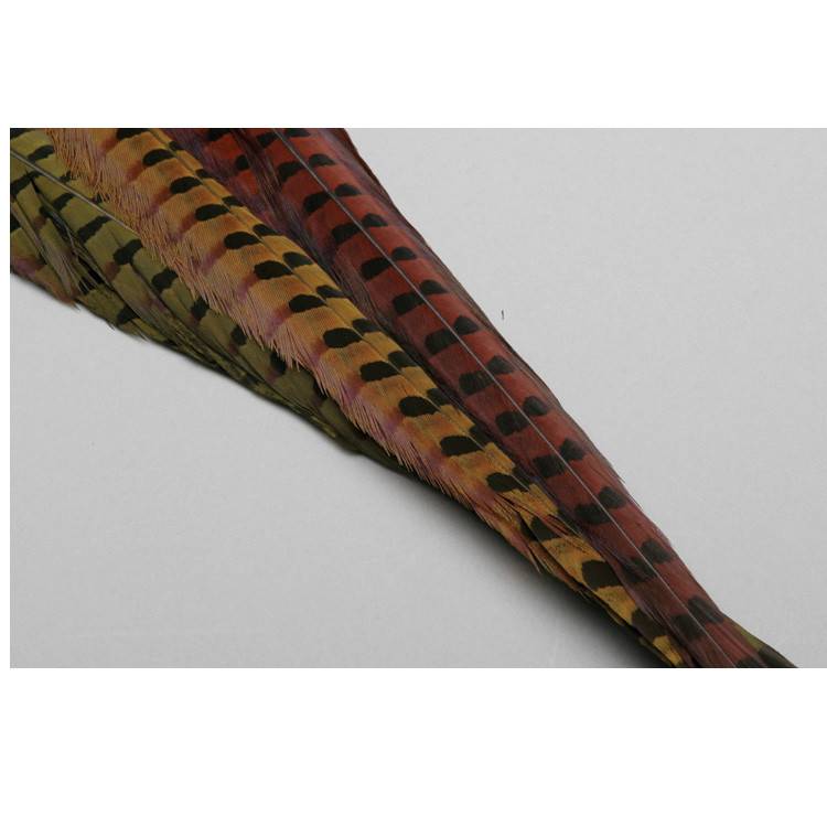 Ringneck Tail Clumps | Fly Tying - Feathers & Hackle | Urban Angler ...